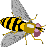 Publications – C. Scott Clem, PhD