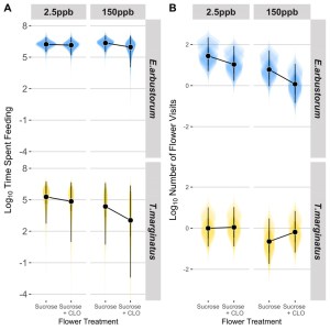 Research Areas – C. Scott Clem, PhD