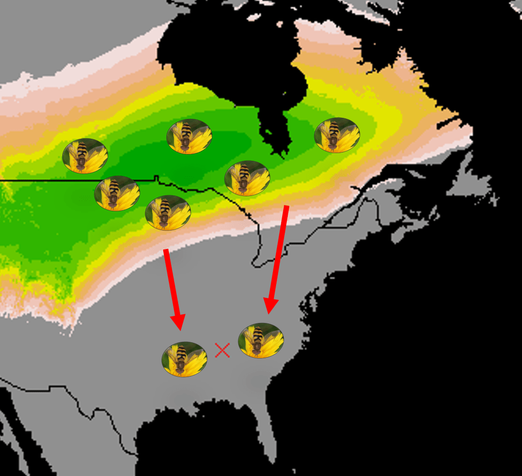 Research Areas – C. Scott Clem, PhD
