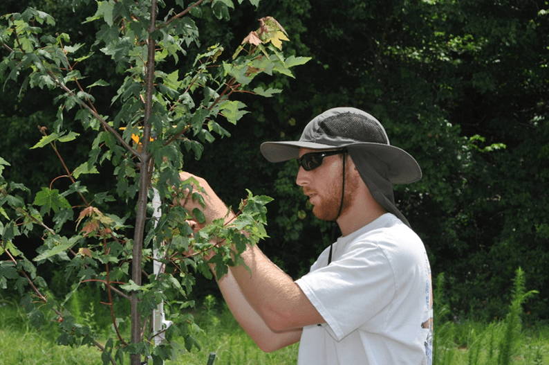 Research Areas – C. Scott Clem, PhD